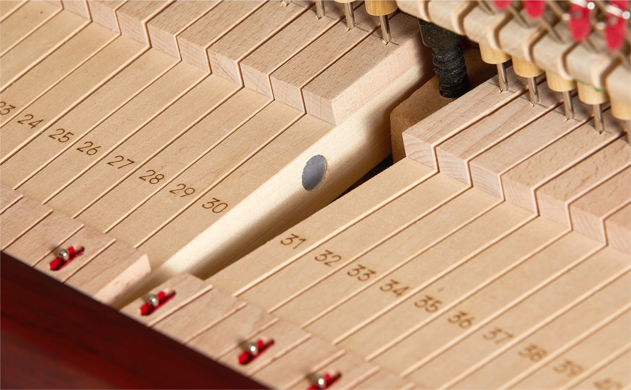 卡纳尔（CARNALL）德国瑰宝 全新进口品质钢琴 - 德国卡纳尔钢琴官网