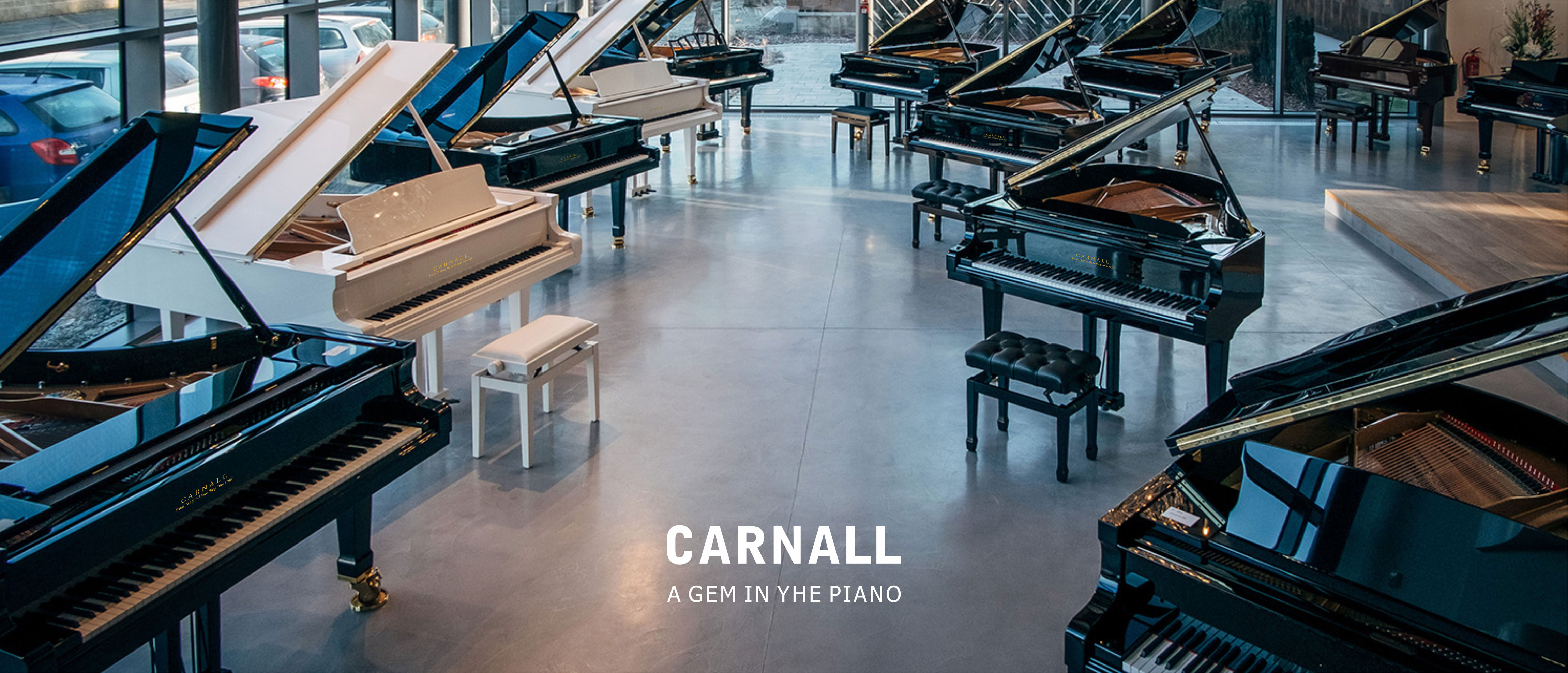 卡纳尔（CARNALL）德国瑰宝 全新进口品质钢琴 - 德国卡纳尔钢琴官网