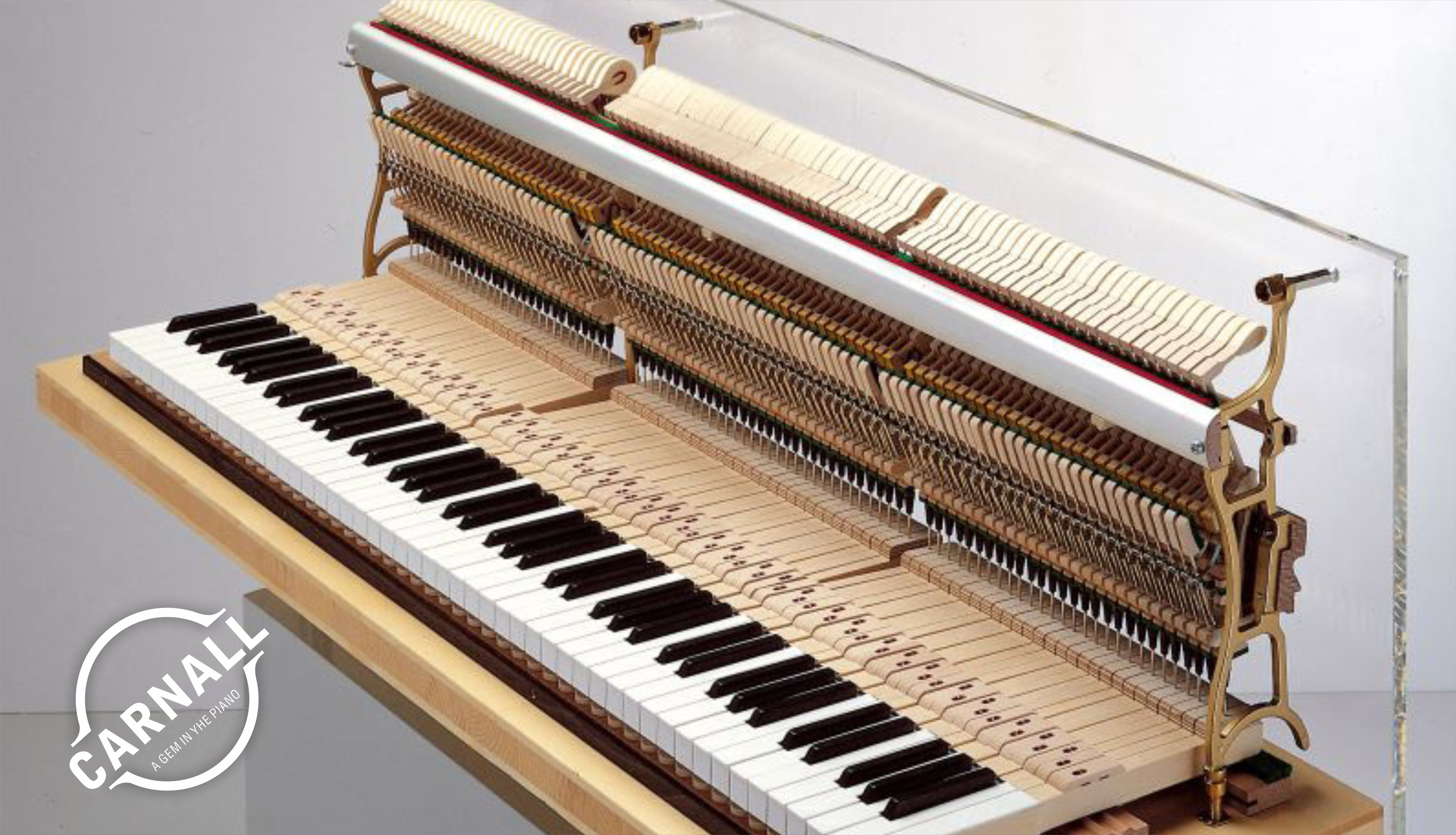 卡纳尔（CARNALL）德国瑰宝 全新进口品质钢琴 - 德国卡纳尔钢琴官网