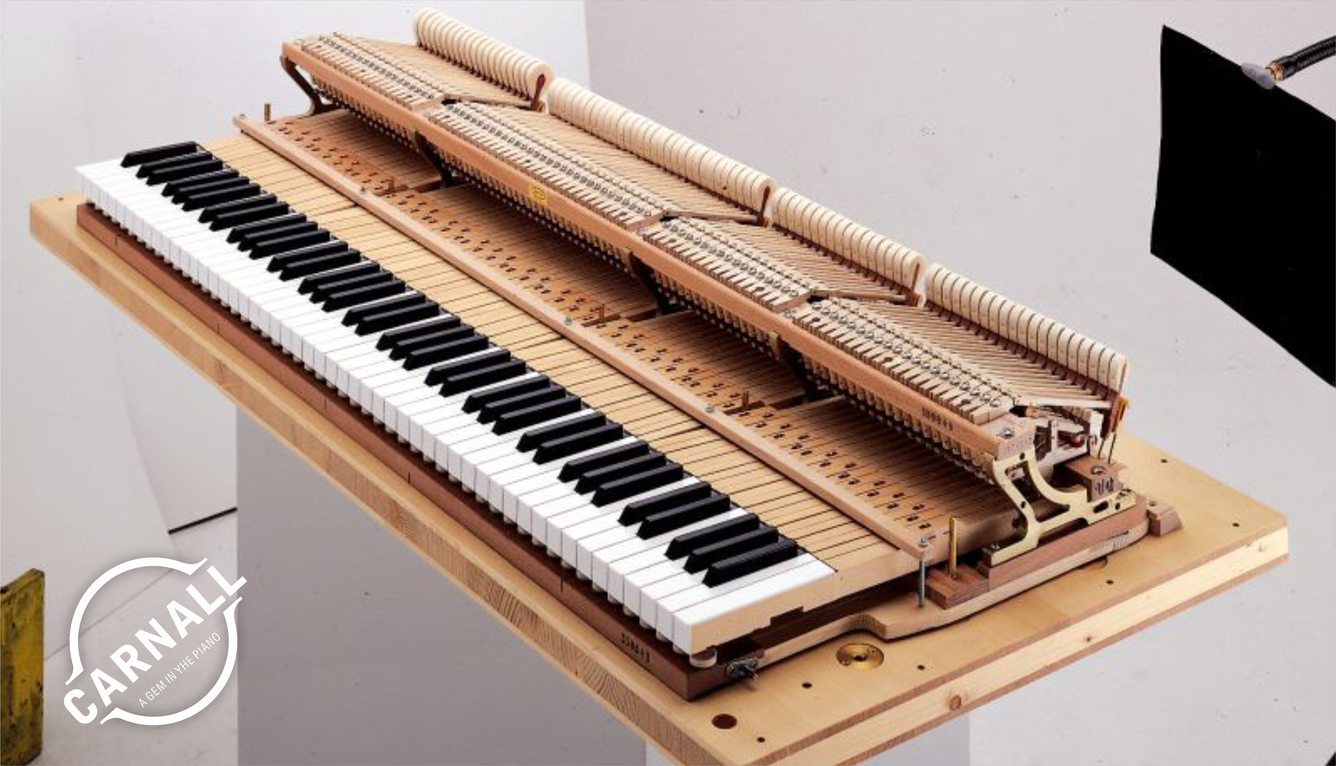 卡纳尔（CARNALL）德国瑰宝 全新进口品质钢琴